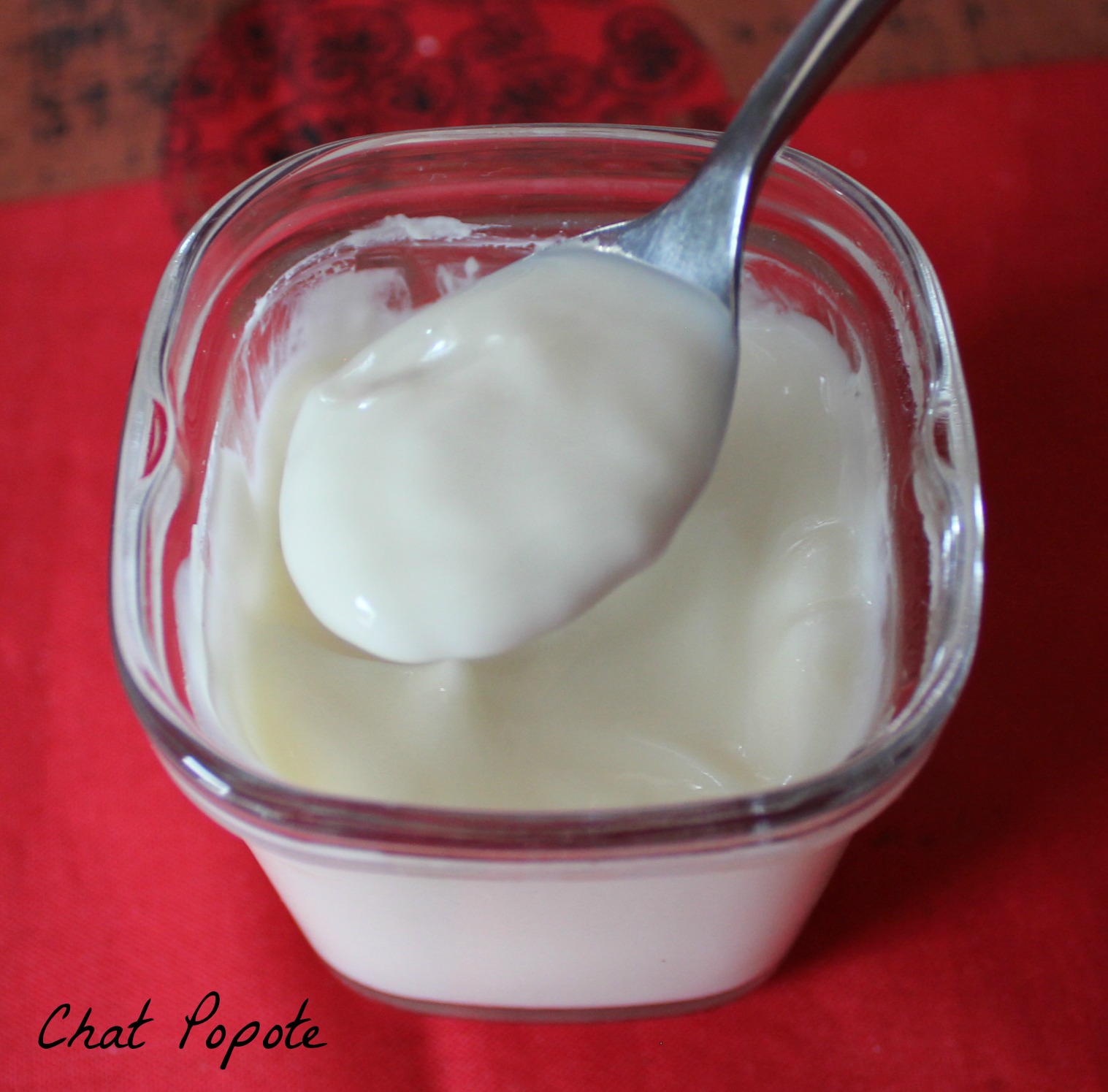 Yaourts à la vanille